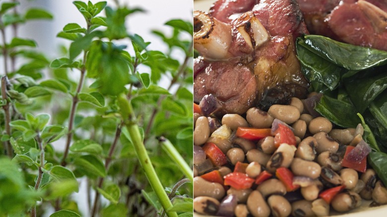 6 Fresh Herbs That Will Bring Your Canned Beans To Life