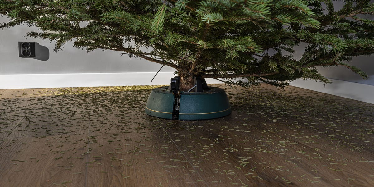 These 6 easy tricks will keep your Christmas tree fresh, full and ...