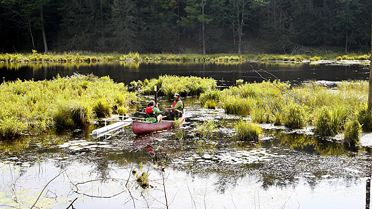 A tale of two ponds sheds light on high emissions