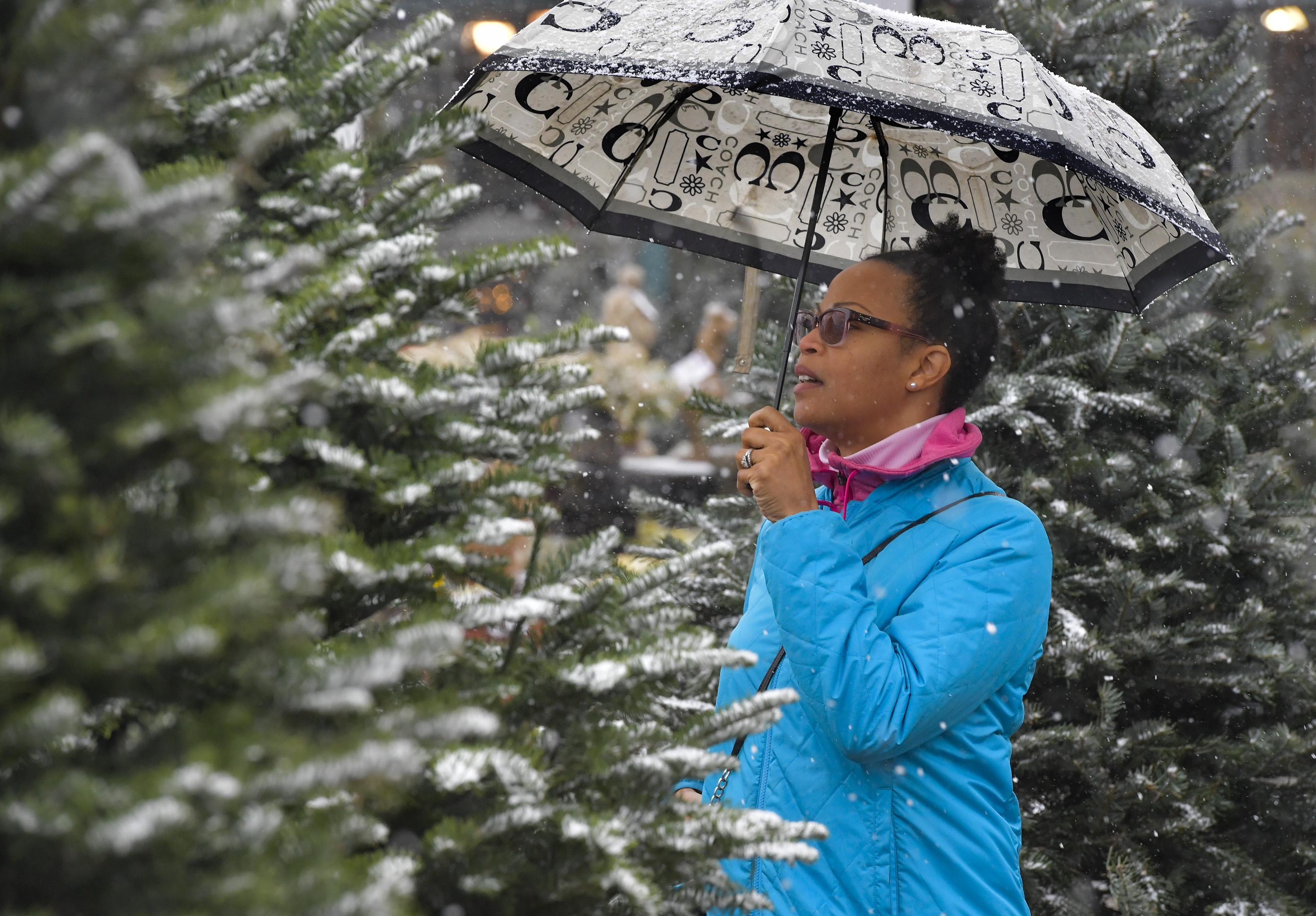 A D.C. December to remember? Why this month could be cold and snowy.
