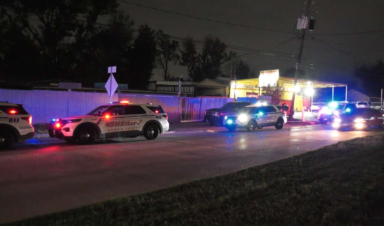 Rooster fighting ring busted in Houston: Dead roosters found in bags ...