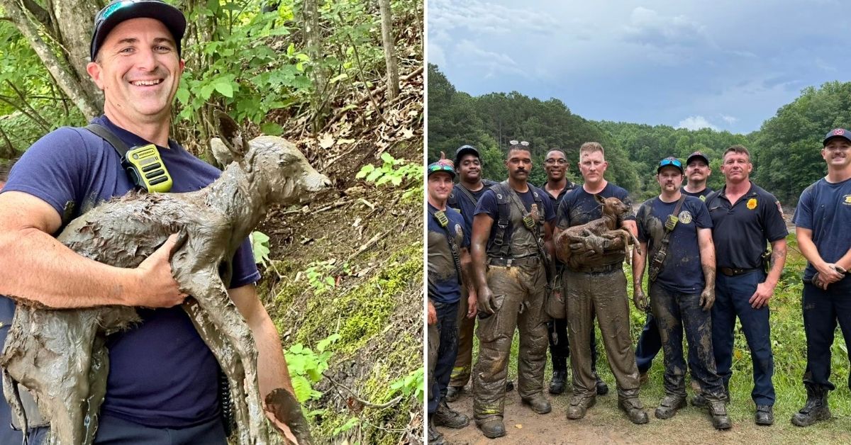 Georgia firefighters respond to call about a person stuck in the mud ...