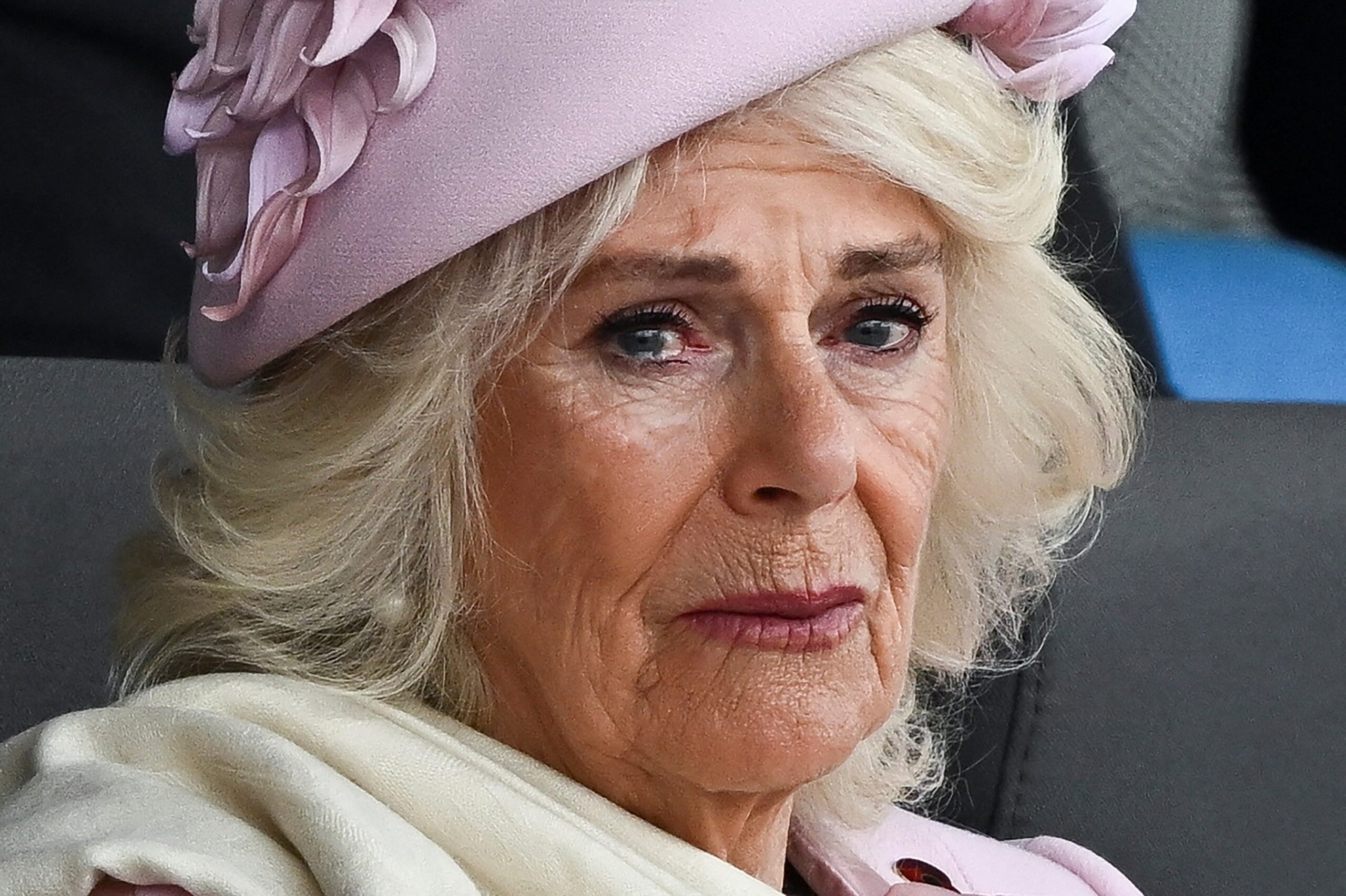 Anne and Camilla are 'totally opposite'