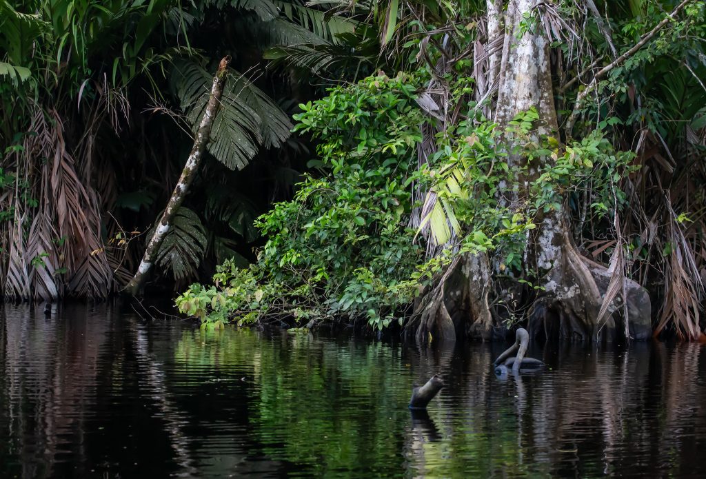 Essential Roadmap To Costa Rica’s Eco-Tourism Hotspots