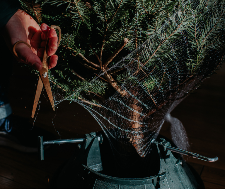 These 6 easy tricks will keep your Christmas tree fresh, full and ...