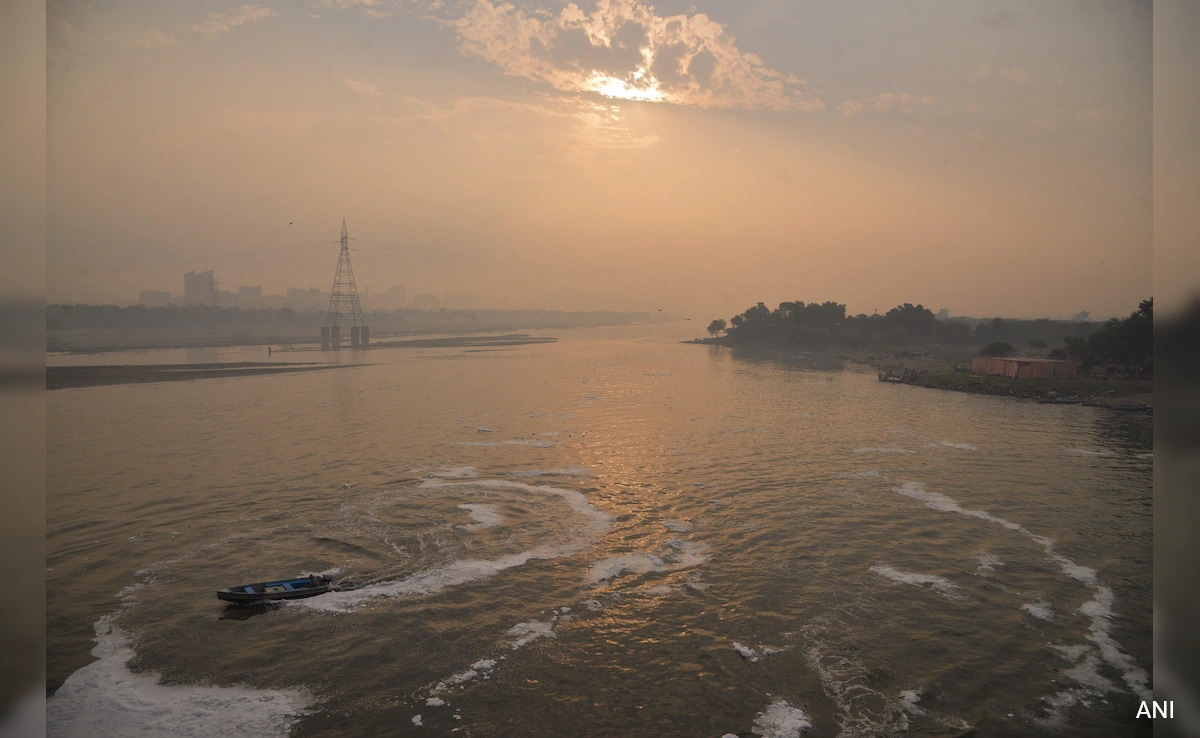 Yamuna still toxic despite above-normal rainfall in Delhi: Report
