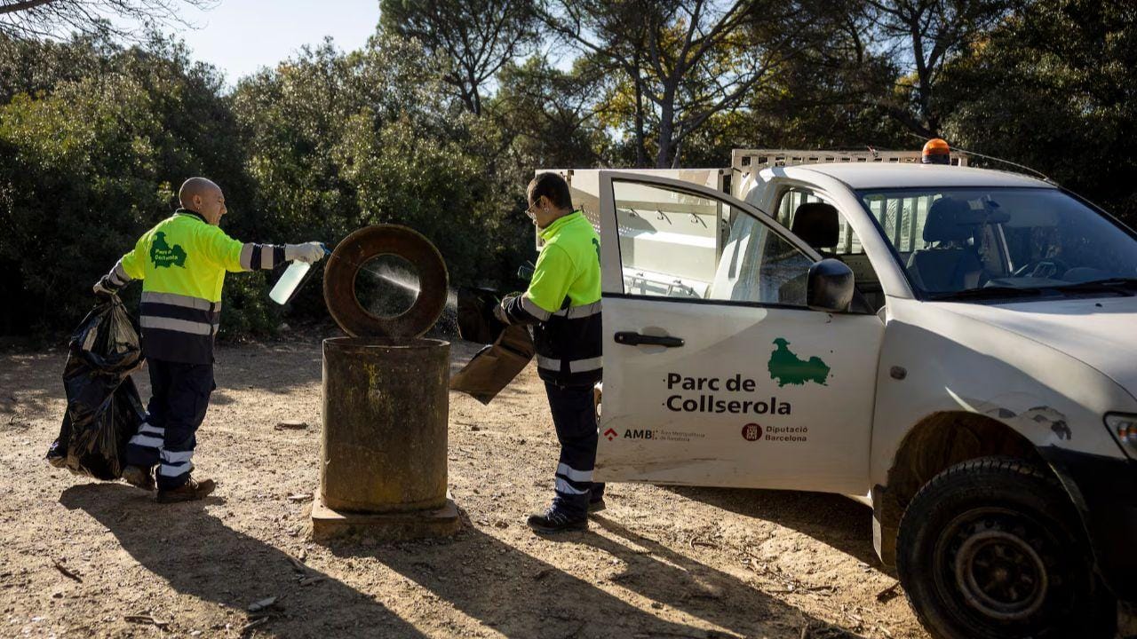 Espanha mobiliza 117 militares para controlar foco de peste suína que ...