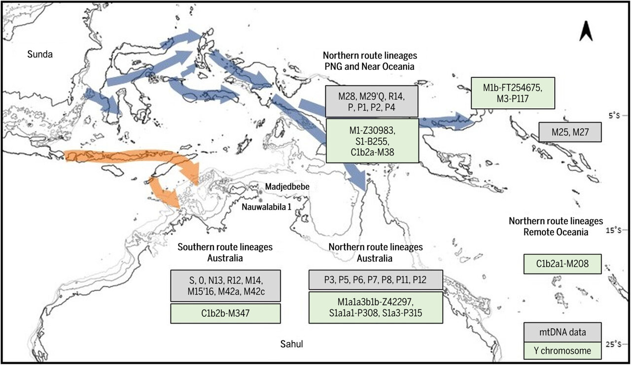 Humans first entered Australia 60,000 years ago via two routes, DNA ...