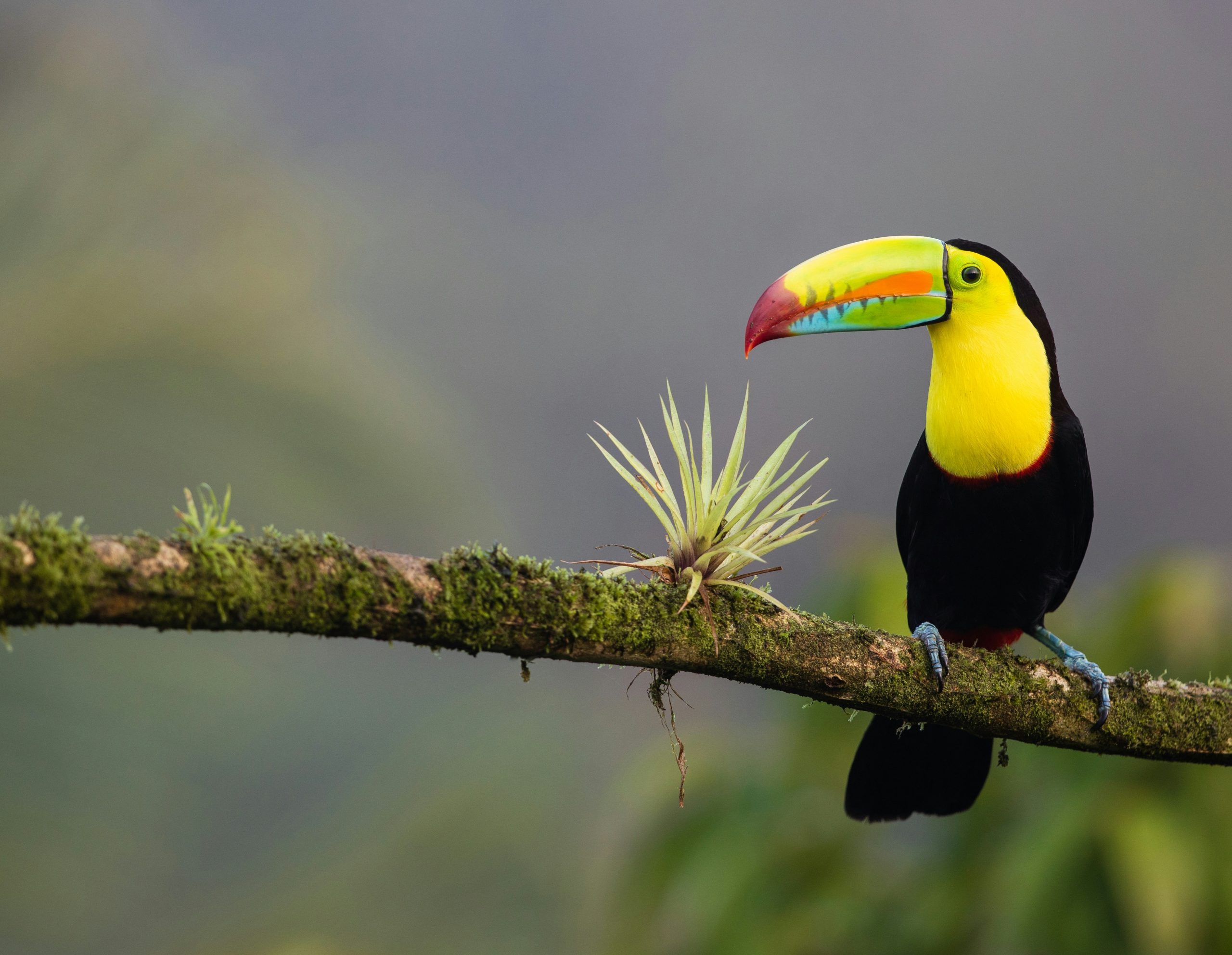 Essential Roadmap To Costa Rica’s Eco-Tourism Hotspots