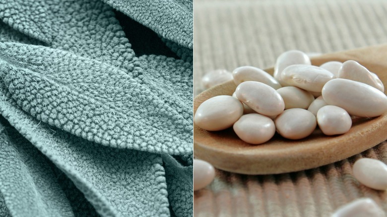 6 Fresh Herbs That Will Bring Your Canned Beans To Life