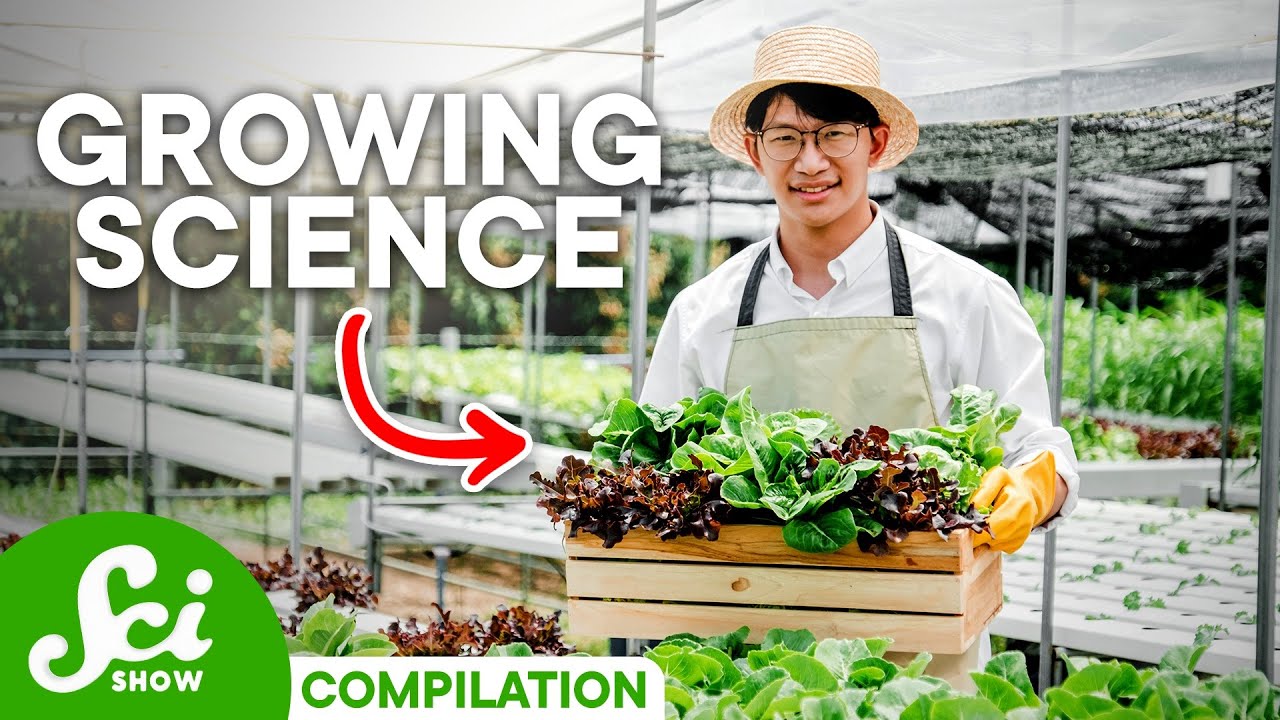 Why Old School Gardening May Hold the Key to Our Future Survival