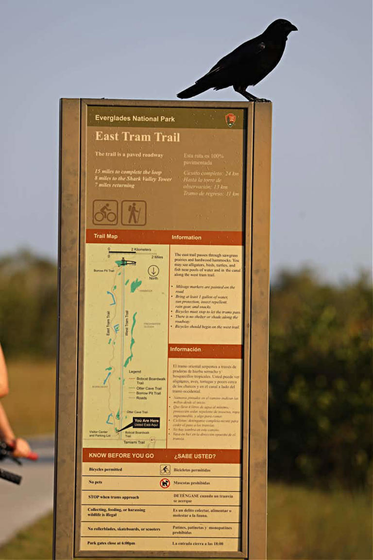 Take a Shark Valley Tram Tour in Everglades National Park - Florida