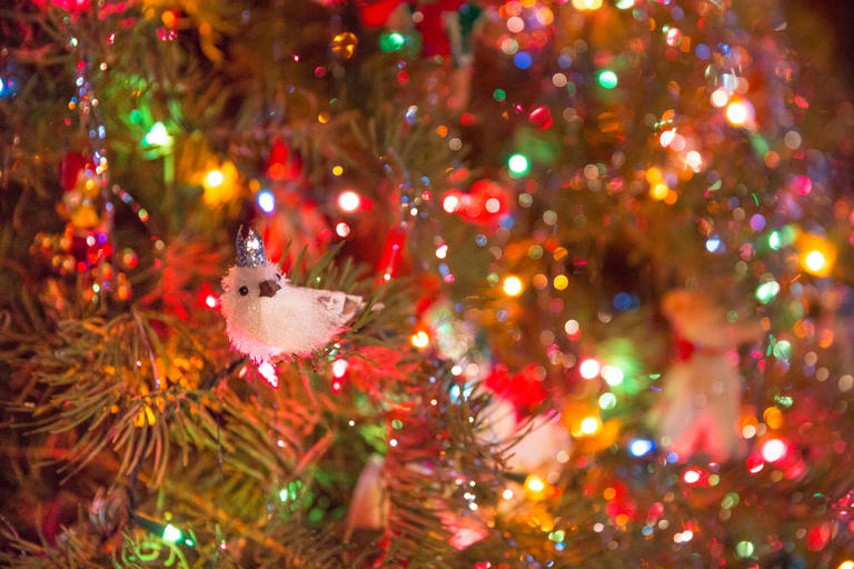 The Viral "Tacky Christmas" Aesthetic Is Taking Over—Here's How to Pull ...
