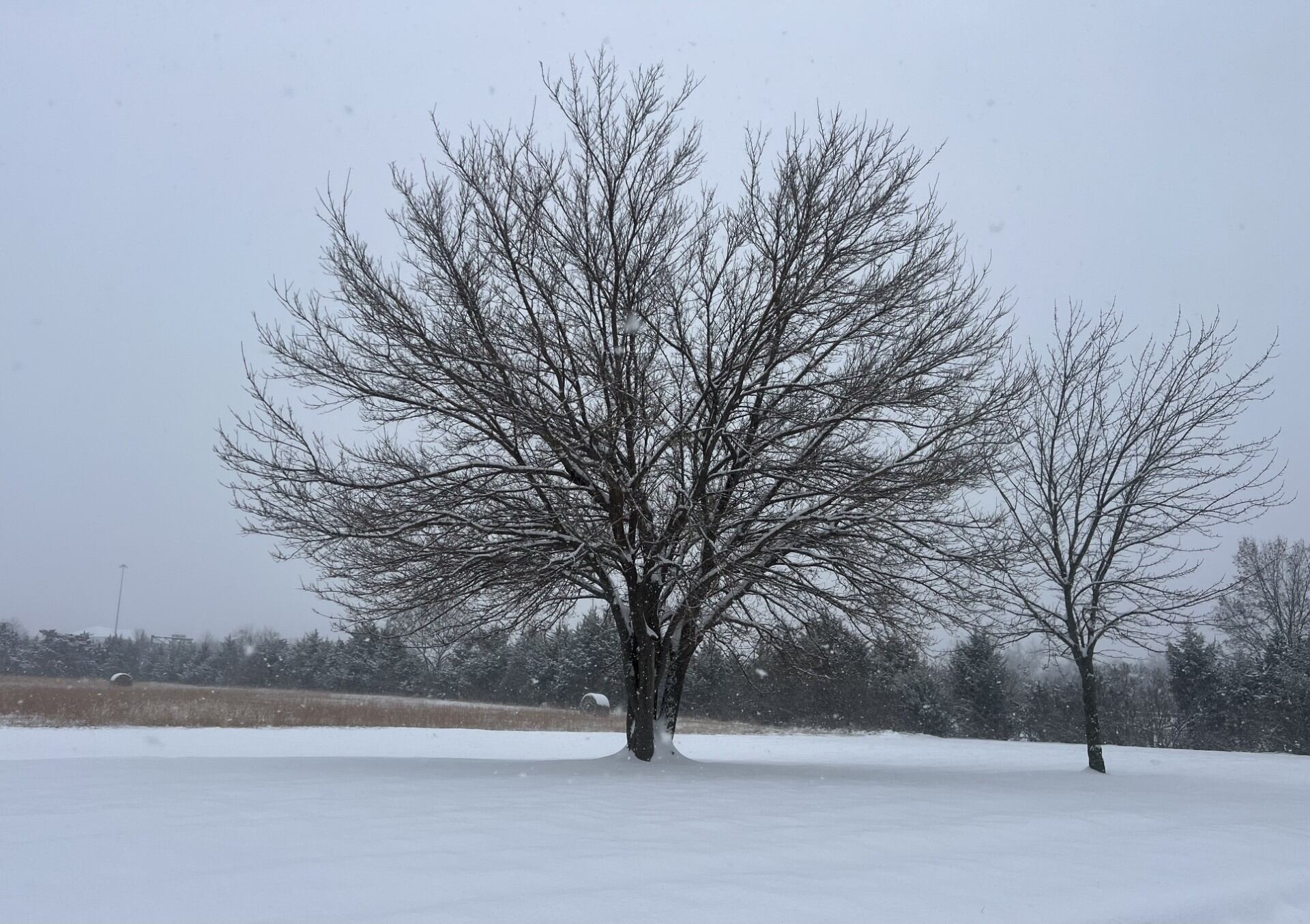 Watch WIBW meteorologists Doug Meyers and Mitchell Keyes with live snow ...