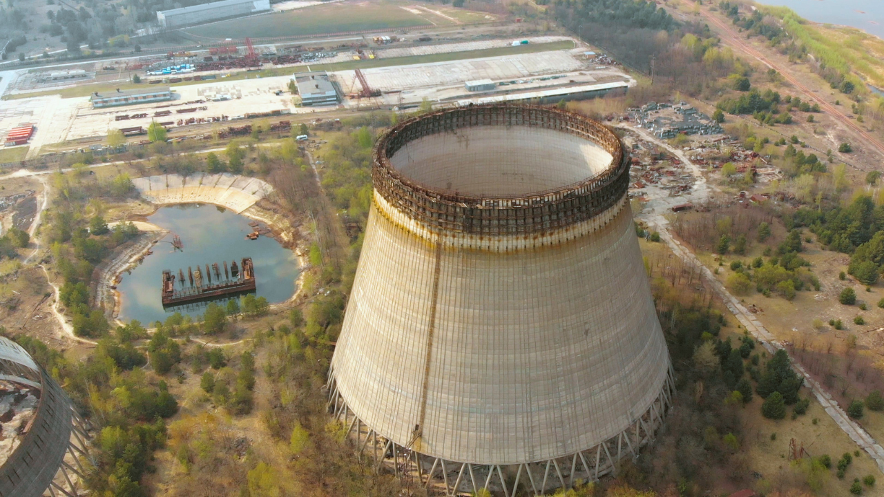 What Is Going With Fungus In Chernobyl? Scientists Puzzled By Black ...