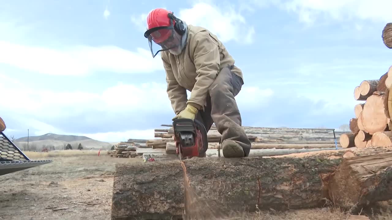Volunteers work hard cutting firewood to keep Beaverhead residents warm