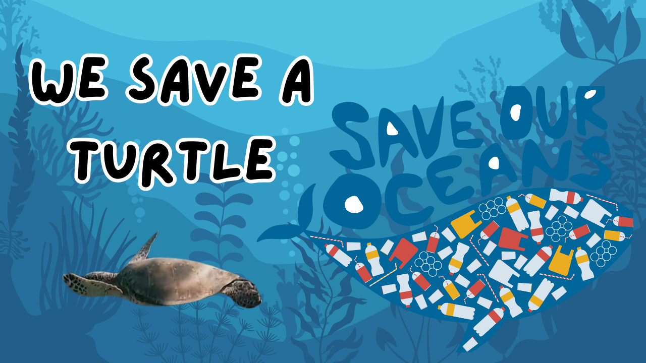 Saving the Turtles — What Happened Next Will Shock You