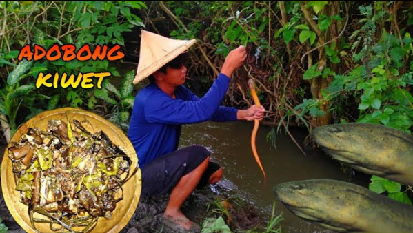 Catch and Cook Asian Swamp Eel – Traditional Adobong Kiwet Country-Side ...