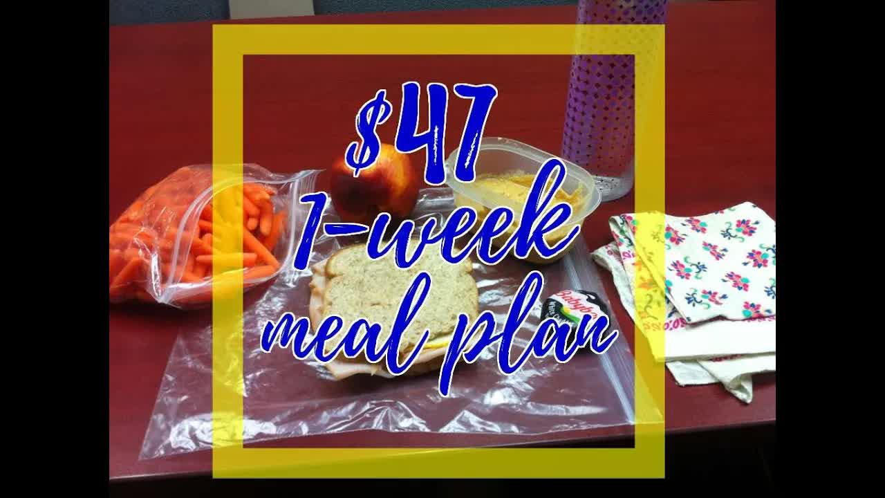 $47 1-week meal plan + work lunches -$14,560