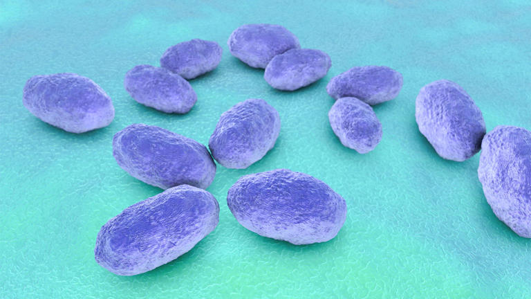 How Has the Epidemiology of Meningitis Changed With Vaccine Advances?