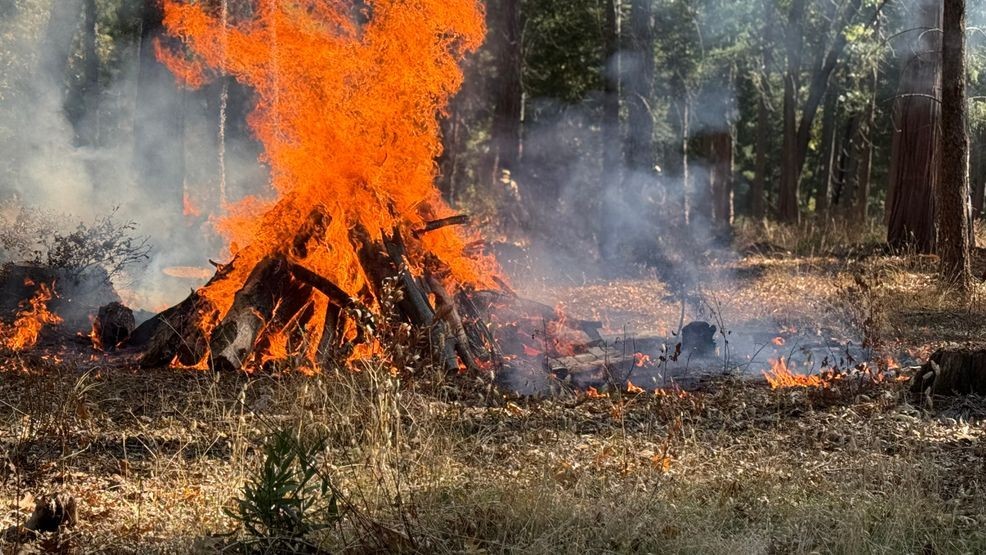 Cal Fire Butte reminds public of safe pile burning practices to enhance ...