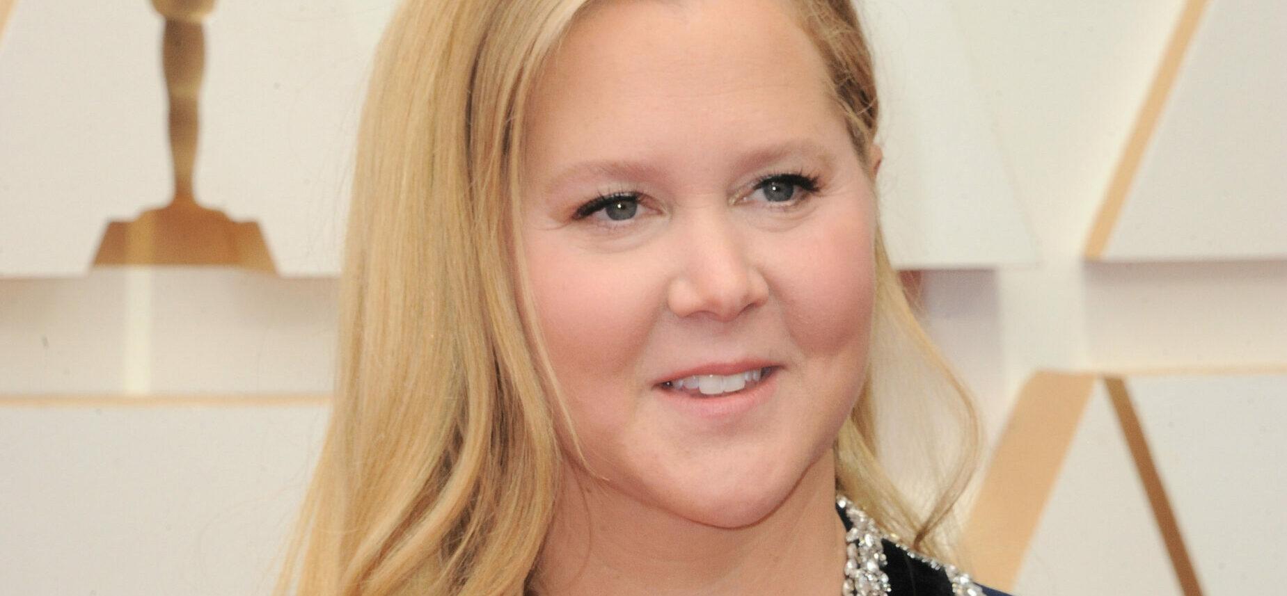Amy Schumer's Facial Transformation Raises Eyebrows As Expert Weighs In ...