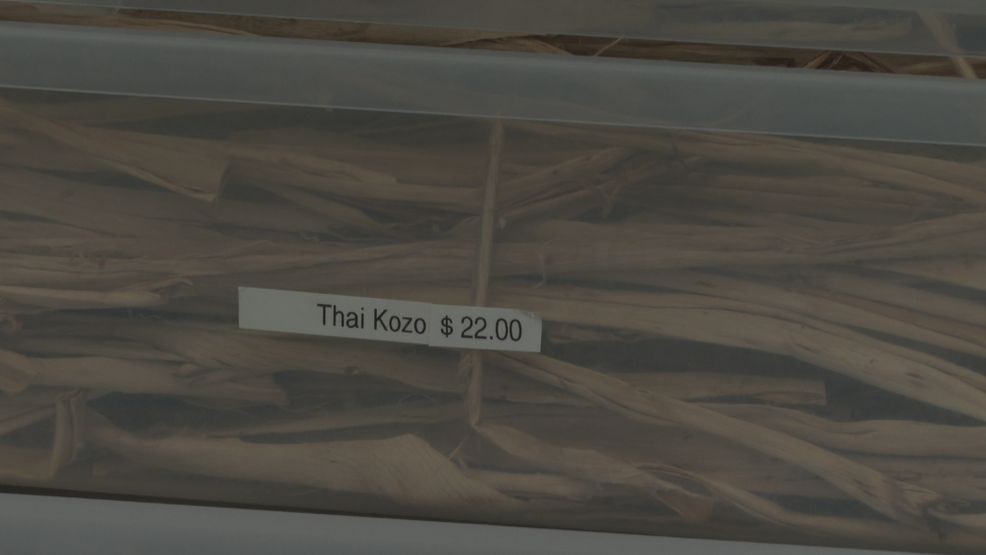 University of Iowa explores Japanese papermaking artistry