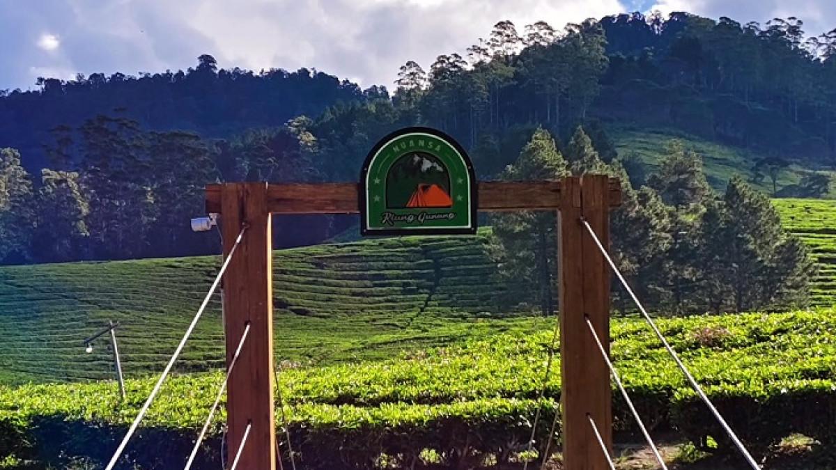 7 Wisata Alam Hijau di Puncak Bogor untuk Liburan Akhir Tahun Bareng ...