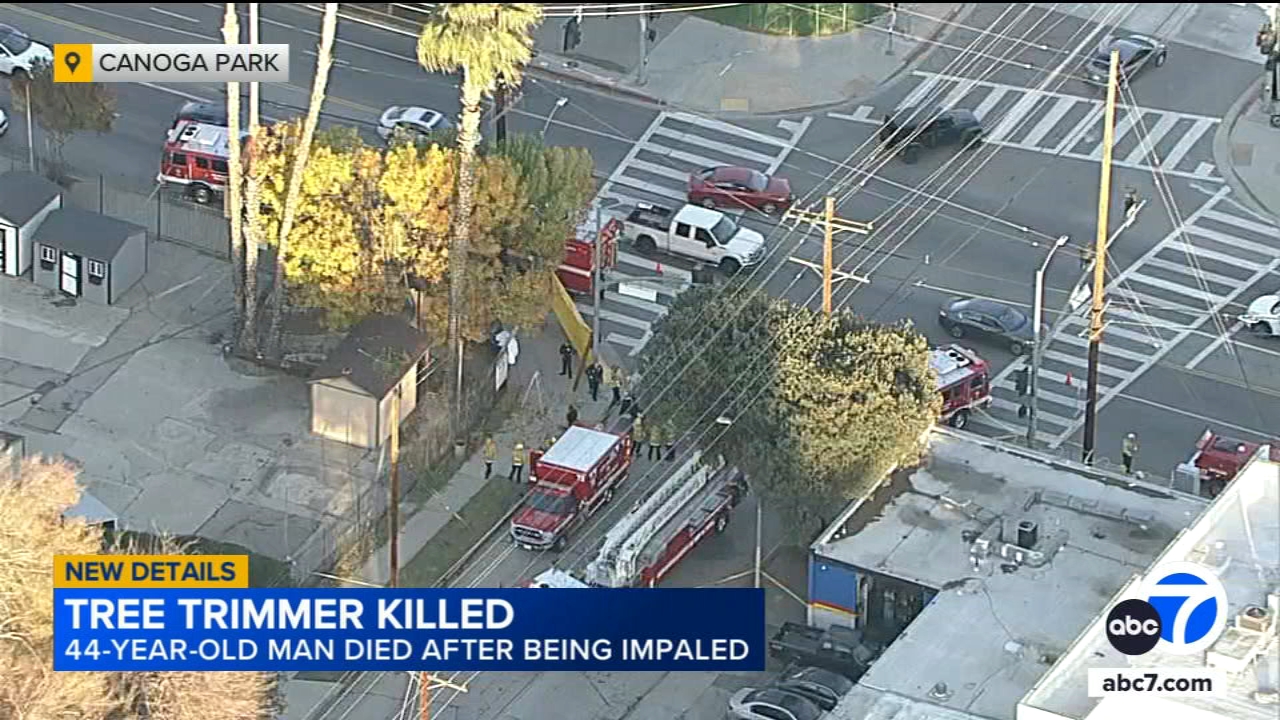 Tree trimmer fatally impaled by fence after fall in Canoga Park, LAFD says