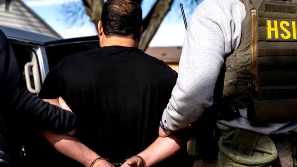 Appeals court in Chicago to hear arguments on whether ICE detainees ...