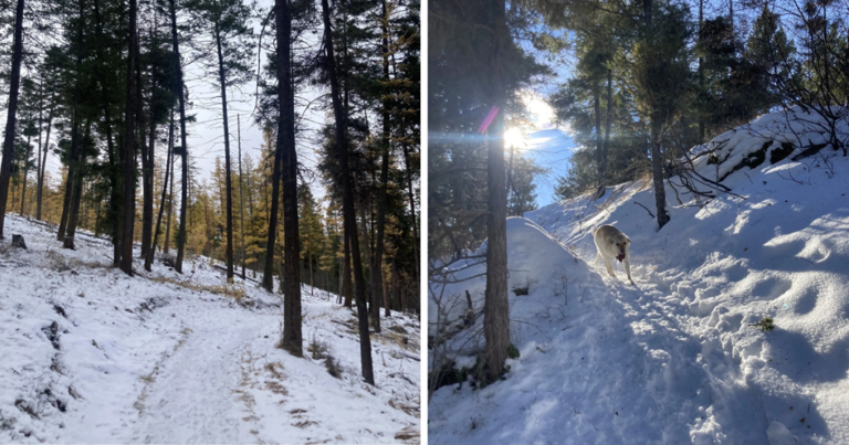 This Quiet Montana State Park Trail Is Even Better in Winter (Here's Why)