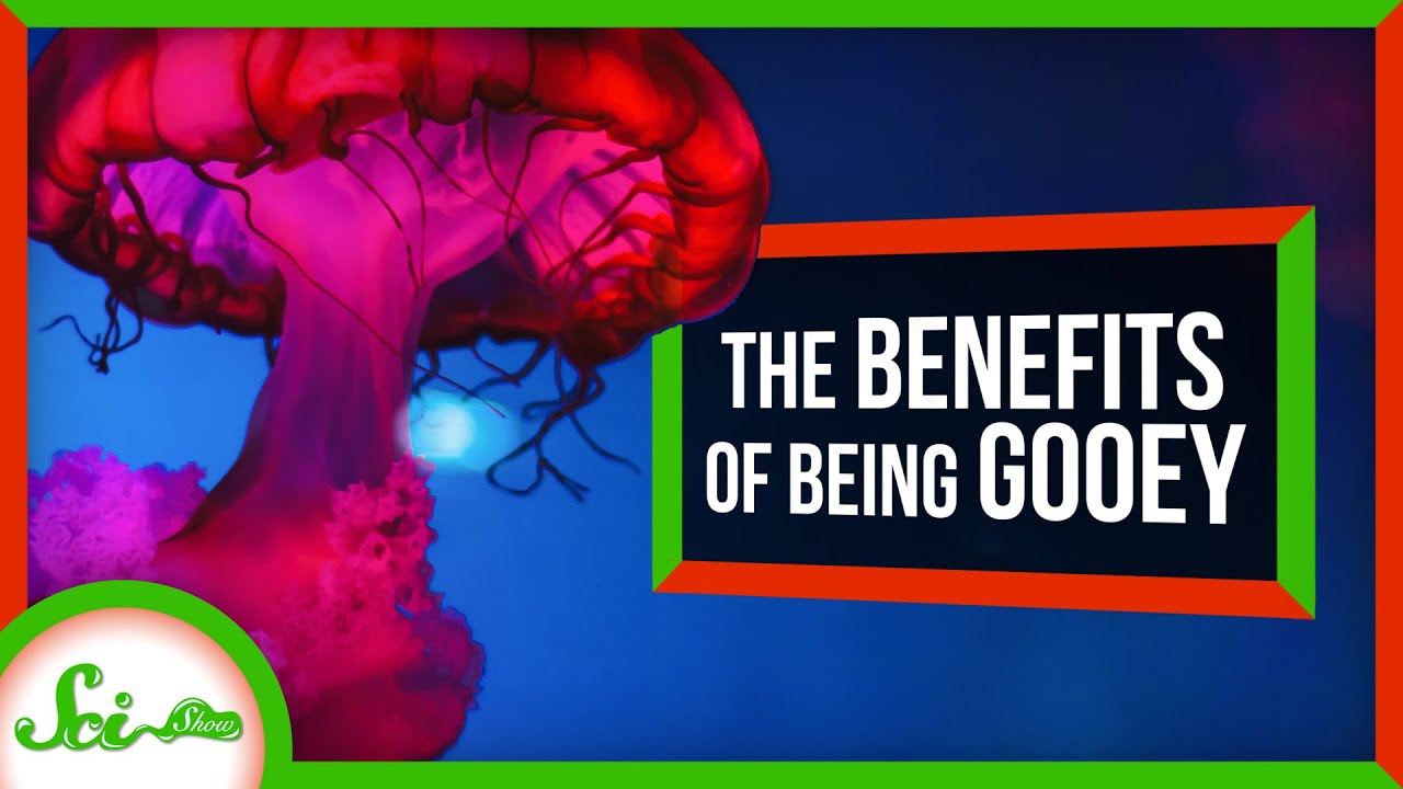 Why gooey creatures might outlast us all