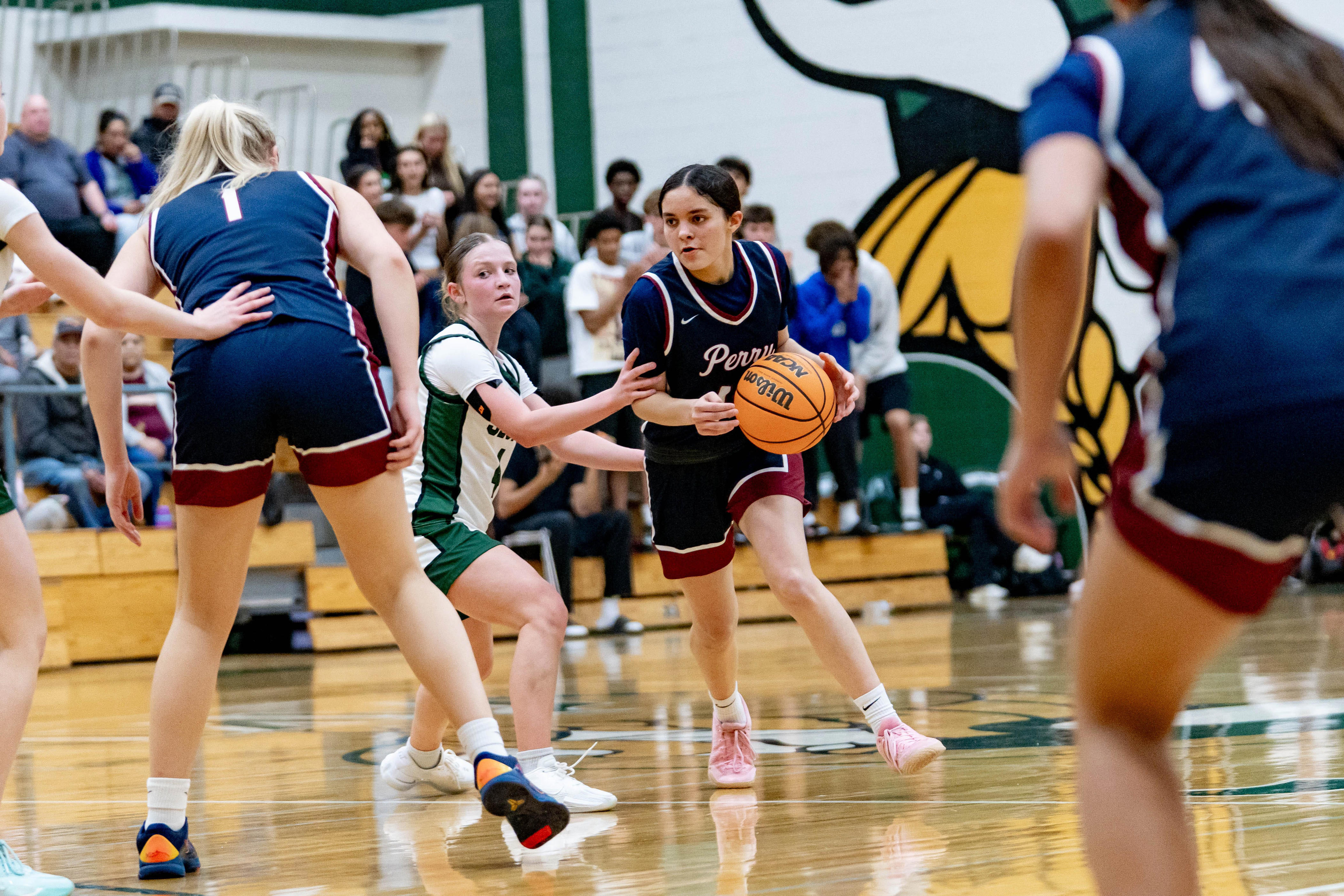 Vote: Republic's top 10 girls high school basketball teams, Week 2