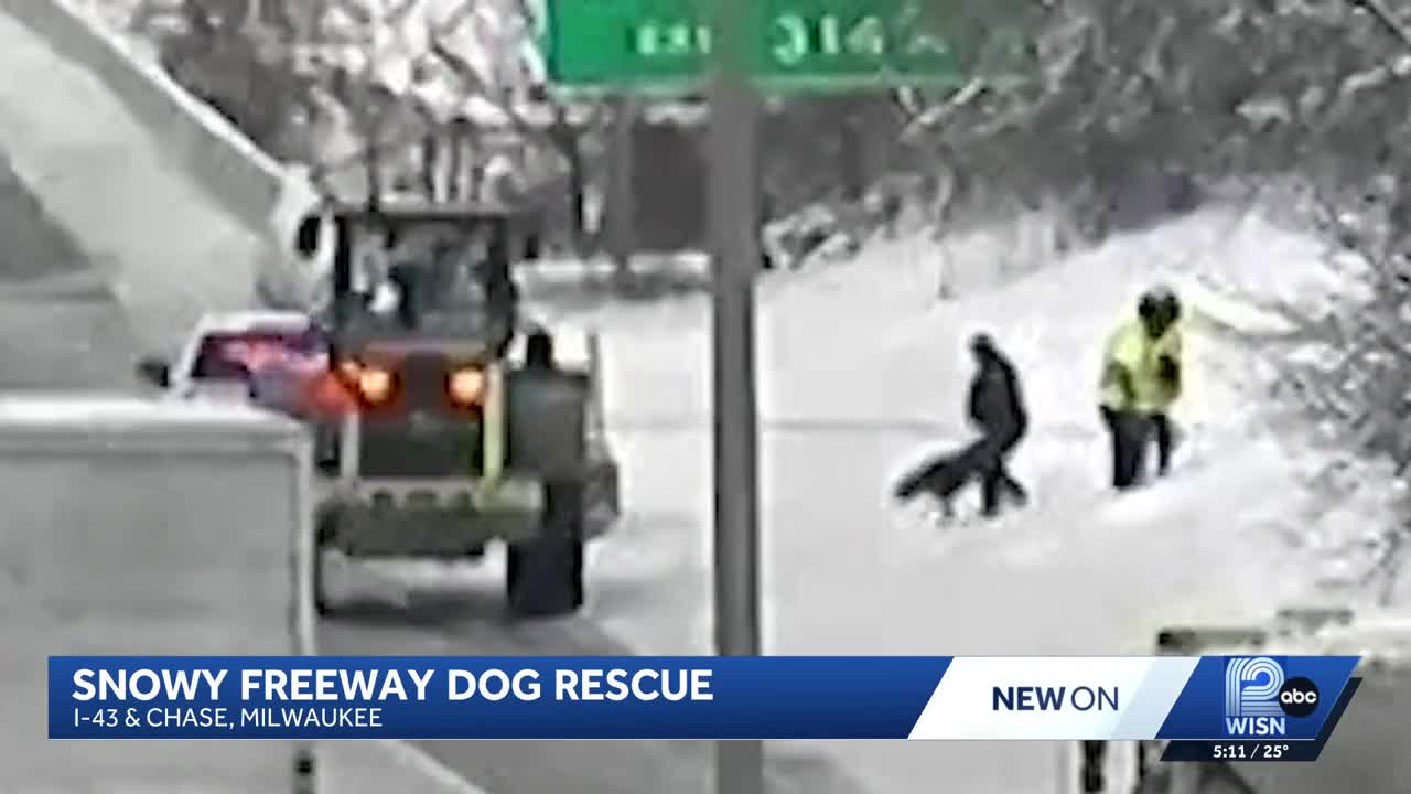 Milwaukee deputies rescue 2 stranded dogs from busy I-43 freeway