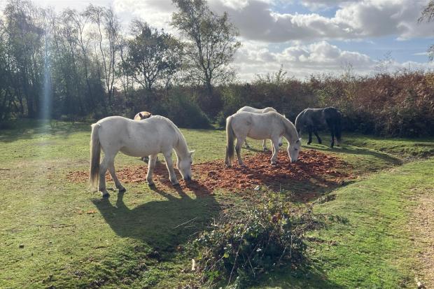 Council fines business owner after reported fly-tipping incident
