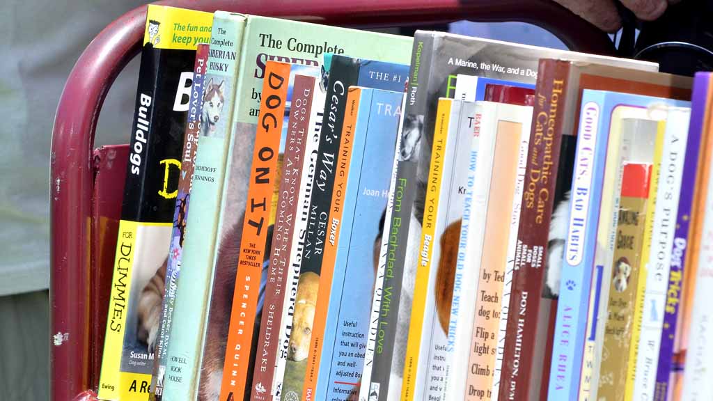 Library Foundation opens bookstore in Mission Hills, spotlighting local ...