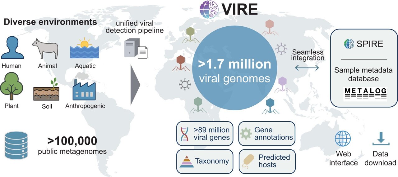 VIRE: A global data platform to better understand viruses