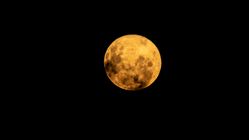 Apa Itu Supermoon dan Cold Moon? Begini Penjelasan Ilmiahnya