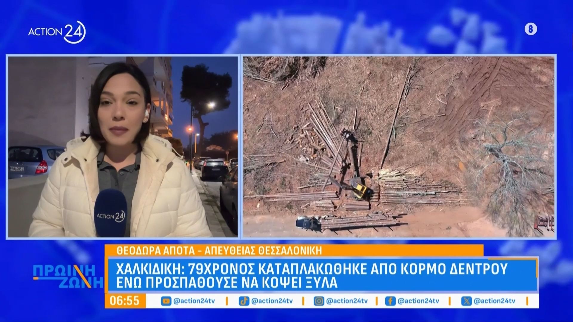 Χαλκιδική: 79χρονος καταπλακώθηκε από κορμό δέντρου ενώ έκοβε ξύλα