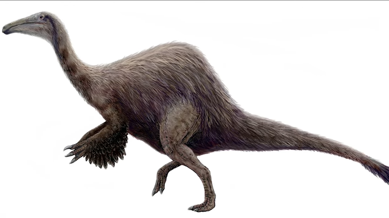 The monstrous dinosaur that defied every expectation of its species