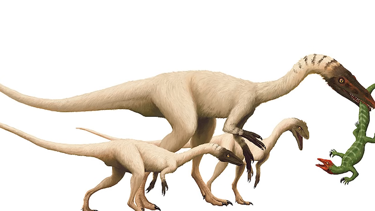 How a small but deadly hunter became a legend of the Triassic
