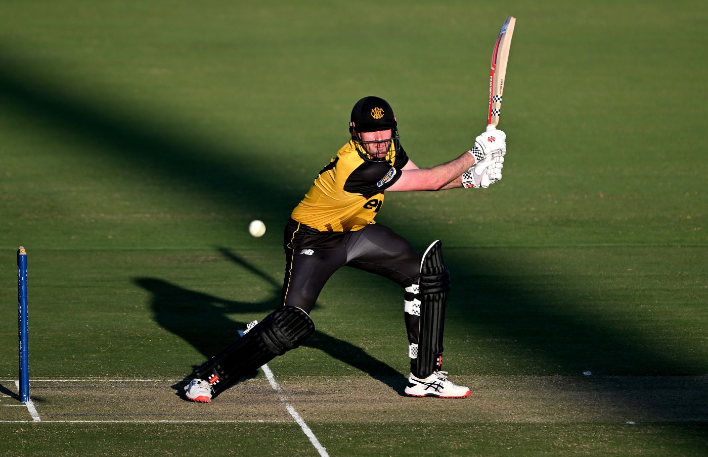 Turner, Whiteman star for WA as defeat leaves Victoria at the bottom in ...