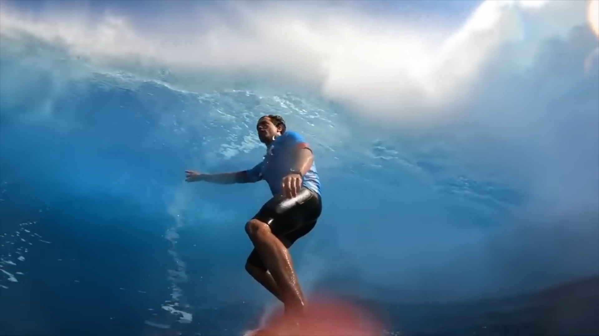 Why great white sharks don’t attack surfers in California