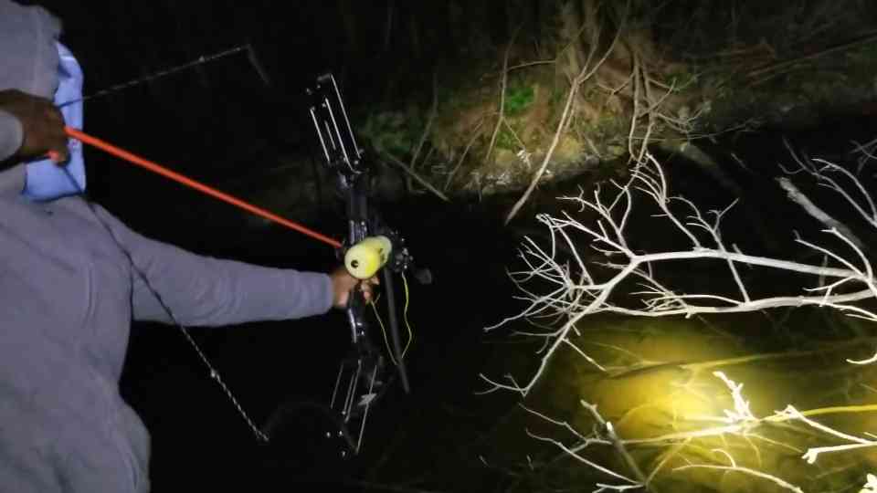 Bowfishing at night - turning invasive fish into fast cash