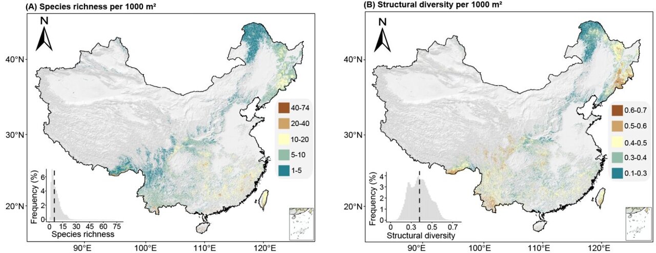Researchers unveil first high-resolution maps of China's forest ...