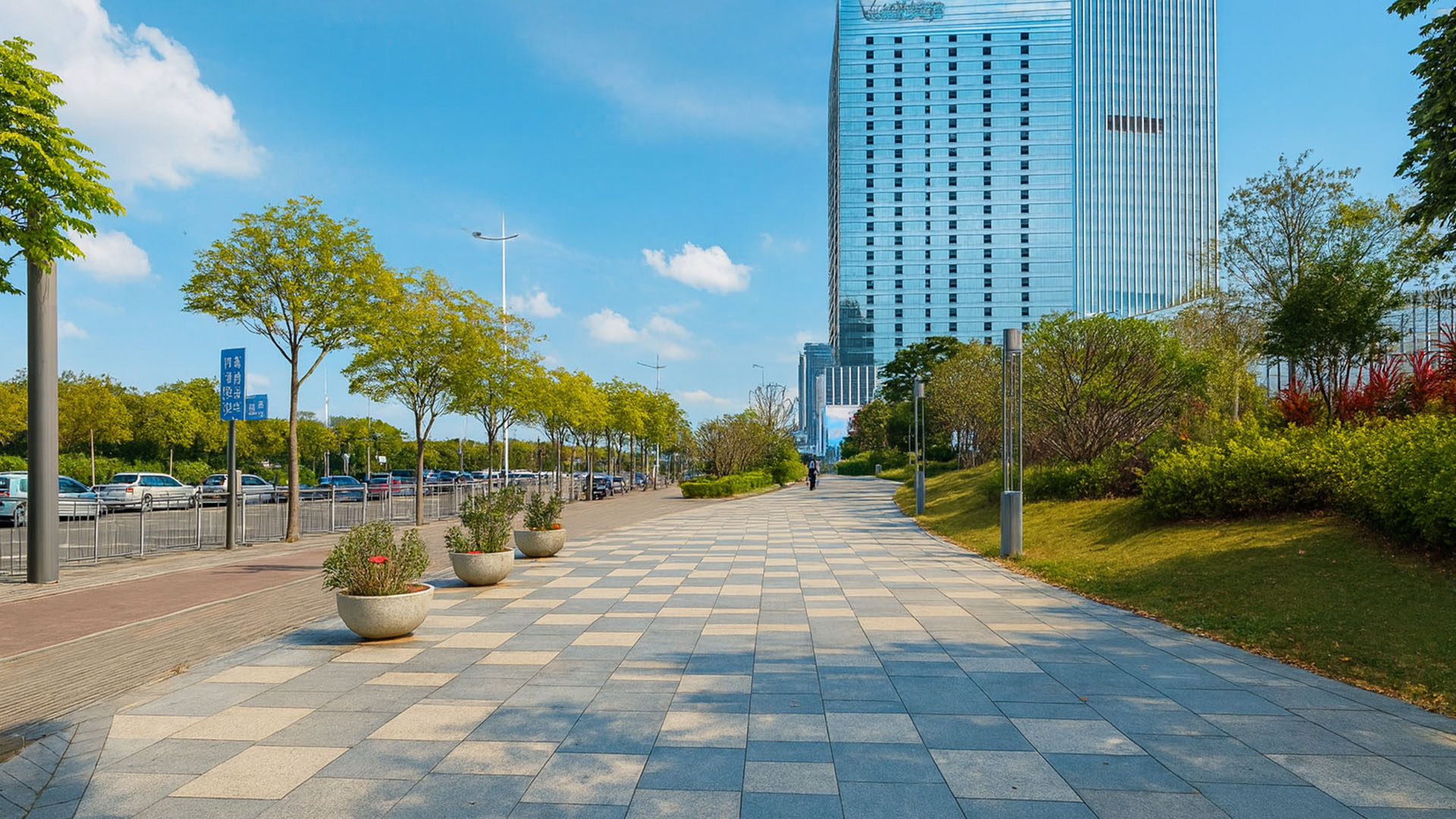 El camino más limpio y amplio que verás hoy