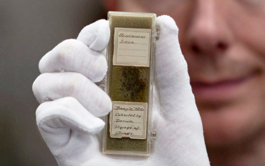 Lost Charles Darwin microscope slide set for auction after being found ...