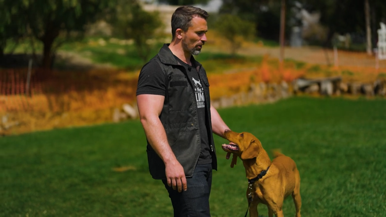 The simple adjustment that makes your dog lock eyes and stay tight
