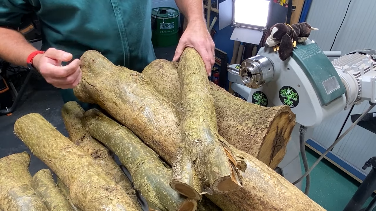 How Laburnum Logs Are Processed From a £700 Wood Pile