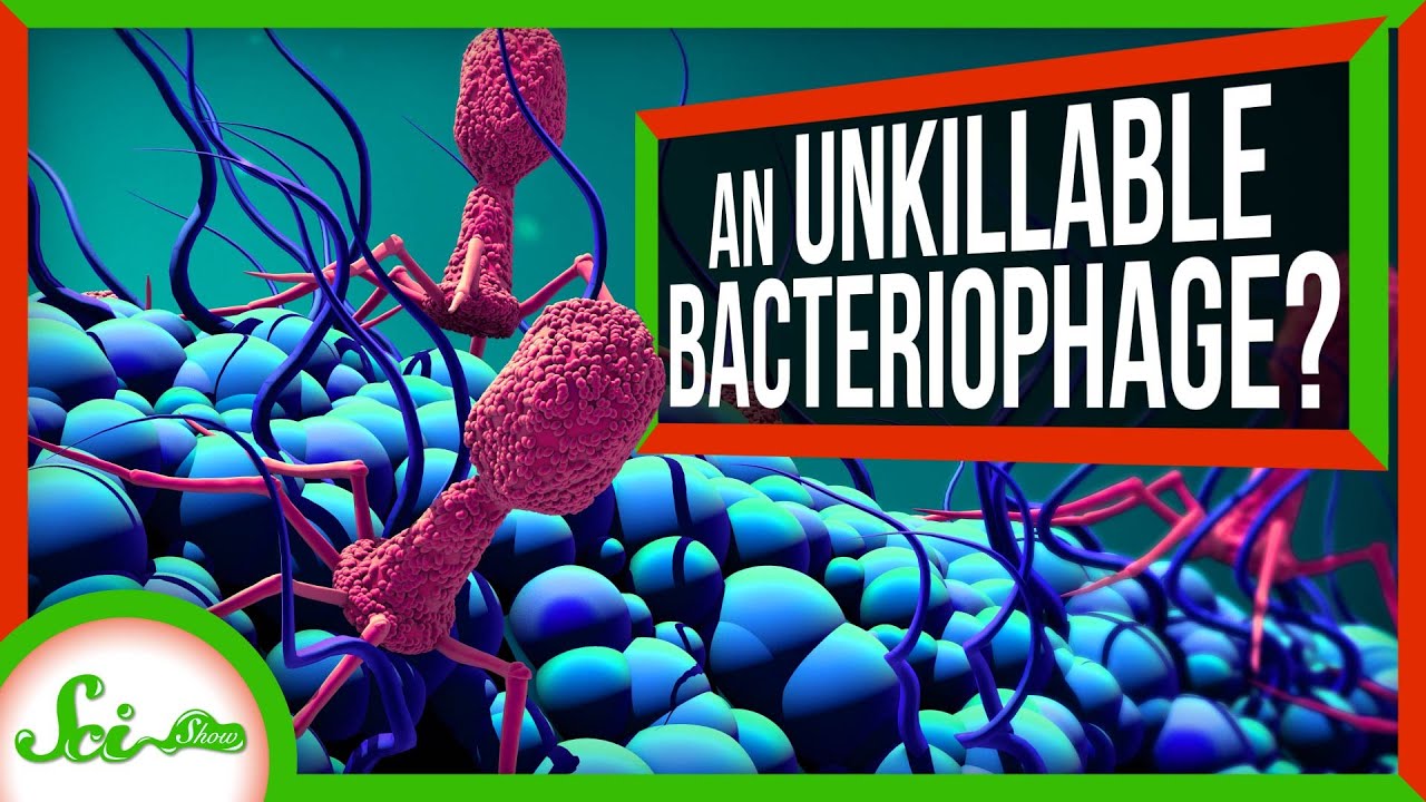 The virtually-unkillable virus that makes itself a nucleus